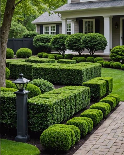 20 Boxwood Landscaping Ideas For Front Yards Gardener Idea