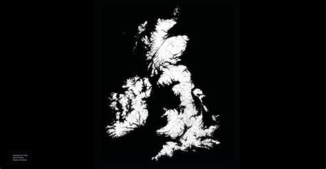 Molly Evans Posted On Linkedin