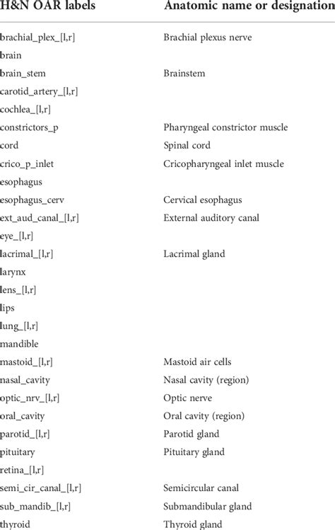 Oar Segmentation Labels And Their Anatomic Designation Download