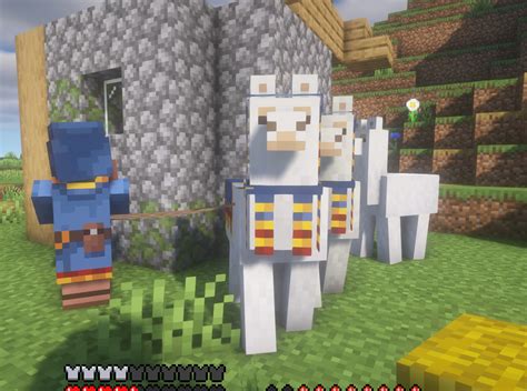 The Wandering Trader Stole My Llama And Now I Cant Get It Back With A Hay Bale R Minecraft