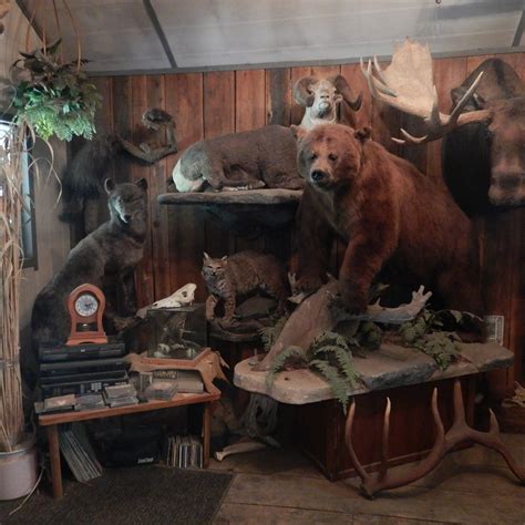 Alpine Taxidermy And Wildlife Museum Гранд Форкс лучшие советы перед