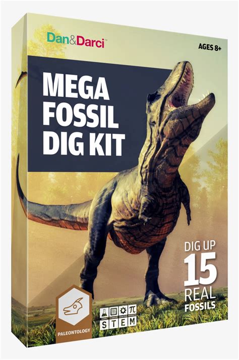 Dd Fossil Dig Kit Hr 1200x1200 Png Download Pngkit