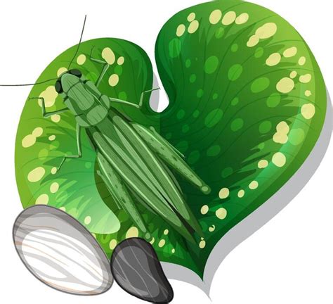 Grasshopper Vector Art Icons And Graphics For Free Download