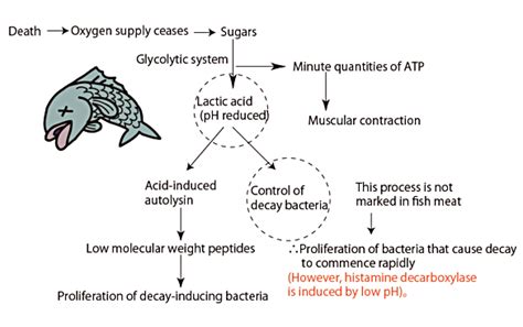Iso 22000 Resource Center Histamine Fish Poisoning