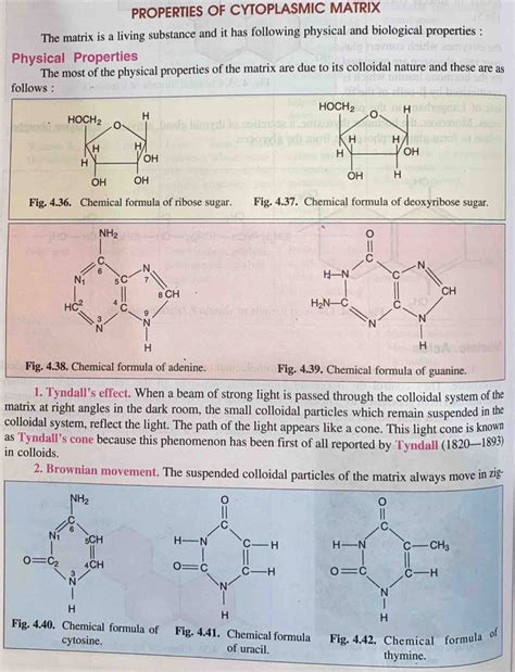Properties Of Cytoplasmic Matrix Bsc Nursing Studocu