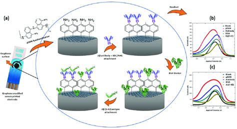 A Schematic Representation Of Electrochemical Immunosensor Showing Download Scientific