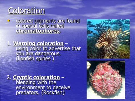 Ppt Notesbony Fish Powerpoint Presentation Free Download Id1801920