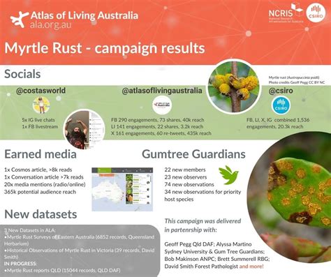 Combating Myrtle Rust With Citizen Science Atlas Of Living Australia
