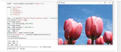 Classifying The Type Of Flowers Using Cnn
