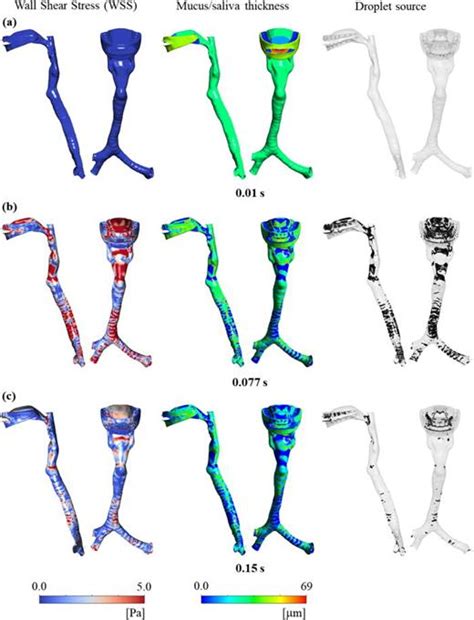 Coupled Eulerian Wall Film Discrete Phase Model For Predicting