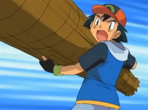 《利用树木年轮判断方位》其实是子虚无有的错误知识？日本树木博士唿吁不要再乱传谣言 绝对领域