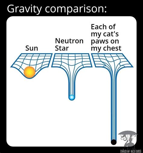 Gravity Comparison My Cat Edition Meme By Robosheepz Memedroid