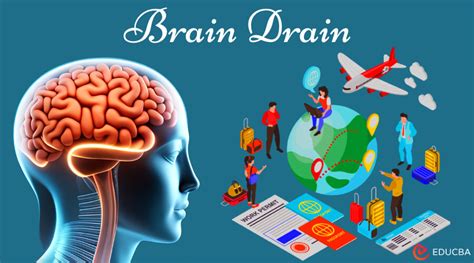 Essay On Brain Drain A Global Challenge And Opportunity