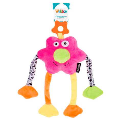 Webbox Multi Sensory Teether We Get Any Stock