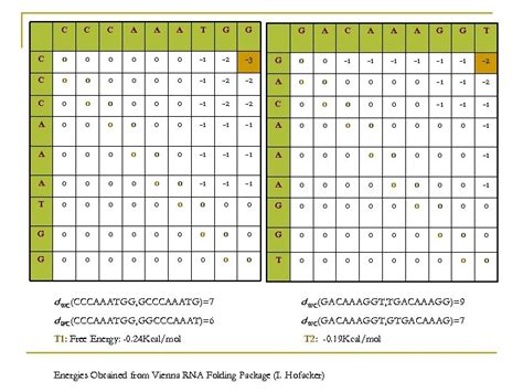 Coding For DNA Computing Combinatorial And Biophysical Aspects