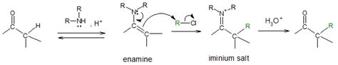 Stork Enamine Reaction Orgoreview