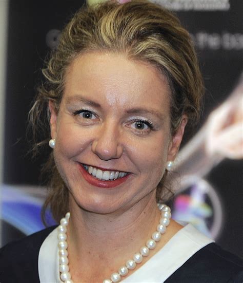 Morrison Cant Clear The Air As The Mckenzie Crisis Deepens Canberra Citynews