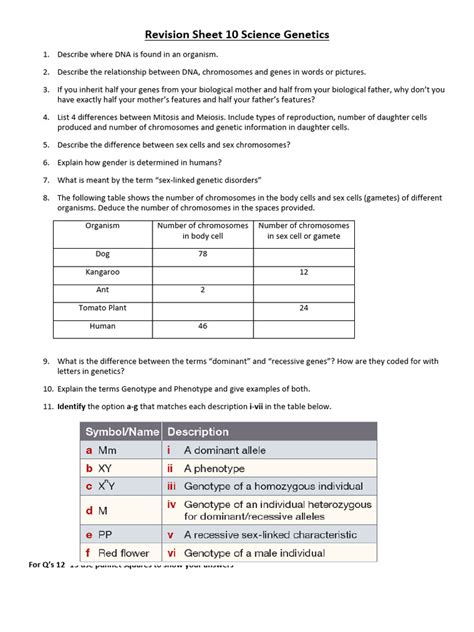 Genetics Revision Sheet 2 Pdf Dominance Genetics Genotype