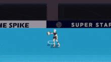 The Spike Volleyball  The Spike Volleyball Discover And Share S