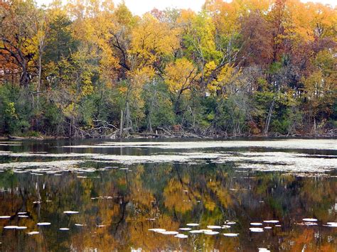 October Rose Lake Photograph By Paul Lorentz Fine Art America