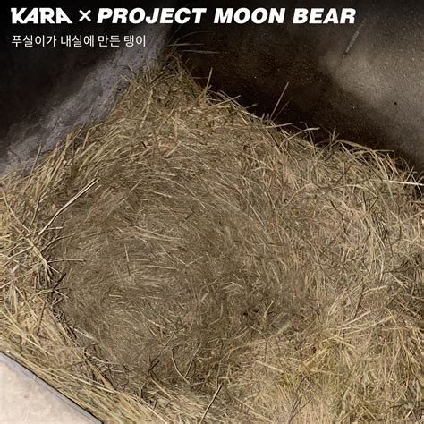 곰탱이와 겨울잠 자료실