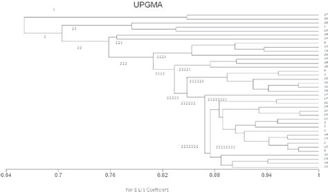 Dendrogram With Upgma Unweighted Pair Group Method With Arithmetic