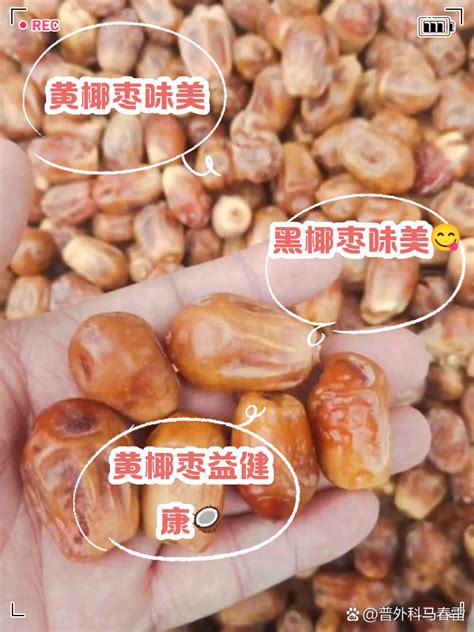 黄椰枣和黑椰枣的功效与作用