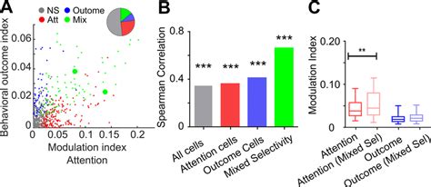 Attentional And Behavioral Outcome Mixed Selectivity In The Fef Cells A Download Scientific