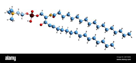 3d Image Of Sphingolipid Skeletal Formula Molecular Chemical Structure Of Aliphatic Amino