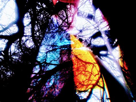 Interdimensional Trees Rlsd