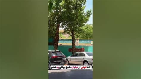 خیابان شیخ بهایی و ۲کلاغی که با آدم های کچل مشکل دارند و کینه گرفتند کلاغ ایرانزیبا Fun