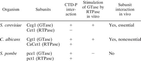 Summary Of Capping Enzyme Subunit Behavior Download Table