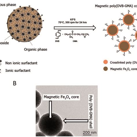 A Schematic Procedure Of Mpdg Preparation B Tem Micrographic Download Scientific Diagram