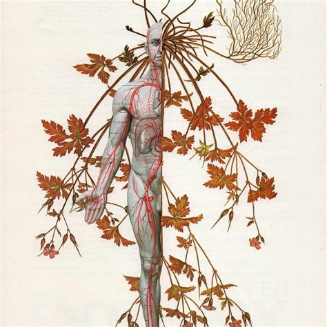 Stream On Growth And Form By Pleasurekraft Listen Online For Free On