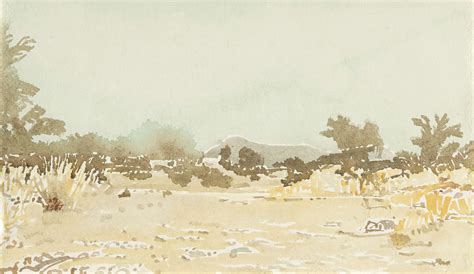 Sudwest Afrika By Adolph Jentsch Strauss And Co