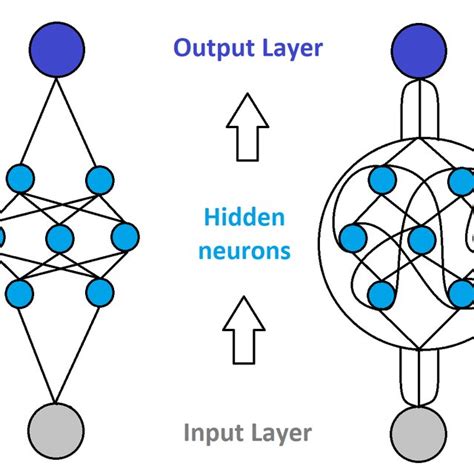 Feedforward And Recurrent Network Architectures Left Feedforward Download Scientific Diagram