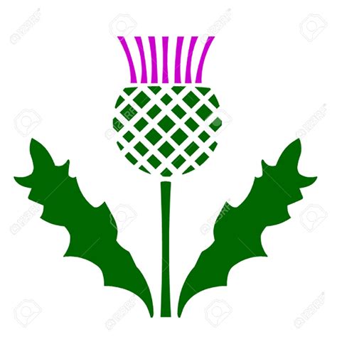 Thistle Clipart 19 Free Cliparts Download Images On Clipground 2026