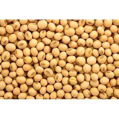 Soy Bean In Medak Latest Price And Mandi Rates From Dealers In Medak