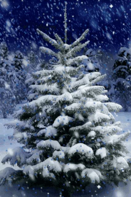 Winter Snow   Winter Snow  Discover And Share S