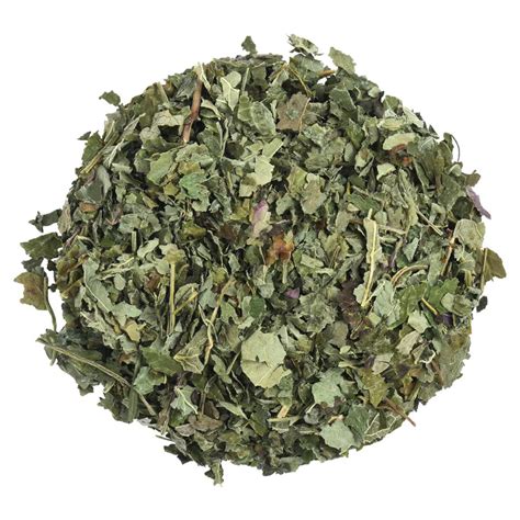 Knotgrass Polygonum Aviculare Dried Herb For Natural Remedies