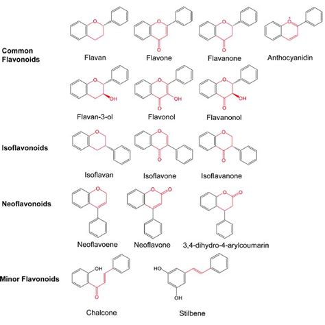 Flavonoid Skeletons And Ring Designations Download Scientific Diagram