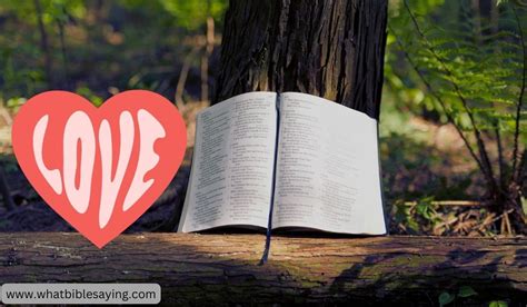 What Does Lewdness Mean In The Bible Definition And Examples What