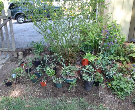 Tilling Sod And Grass Seed Stately Kitsch