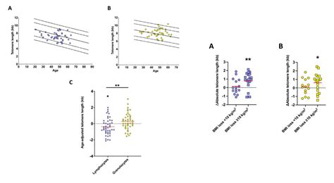 Measurement Of Telomere Length Dynamics By Flow Fish Creative