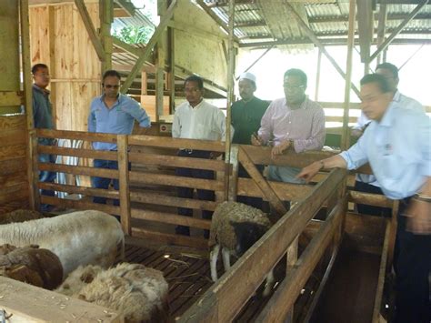 Fodder Solutions Malaysia Galeri