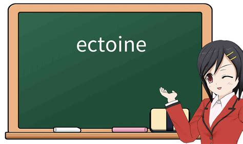 Explicación Detallada De “ectoine” Significado Uso Ejemplos Cómo