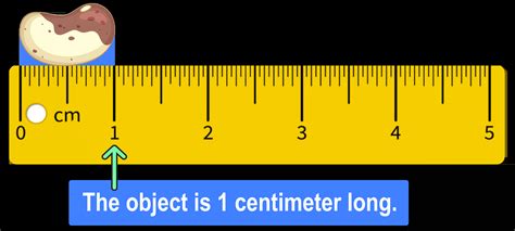 How To Read A Ruler—step By Step With Pictures — Mashup Math