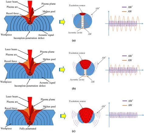 Physical Structure And Acoustic Transmission Characteristics Of