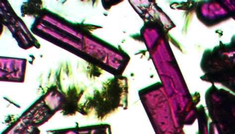 Scientists Watch Water Leave A Crystalline Sponge Futurity