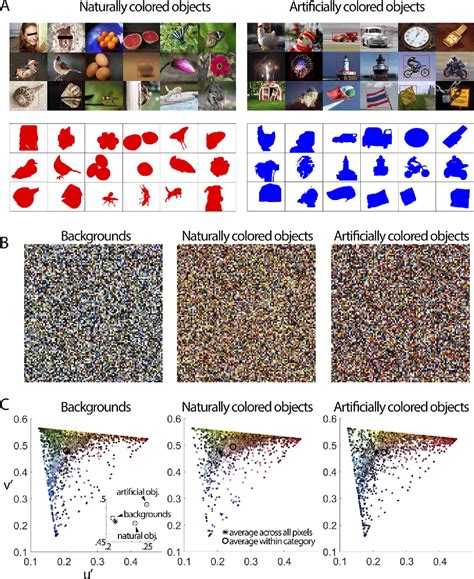 Figure 1 From Color Statistics Of Objects And Color Tuning Of Object